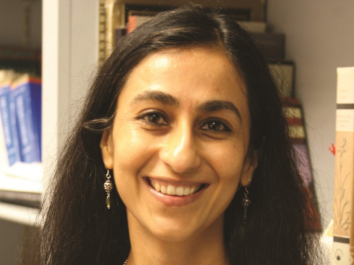 Queen of queens: Ruby Lal revisits the life and times of Mughal Empress ...