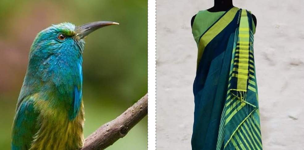 The plumes of the endemic birds of Pollachi inform Ethicus’ collection, Crossroads