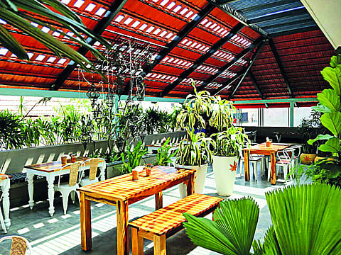 Restaurant Review: A New Go Native Opens in HSR Layout, Bengaluru ...