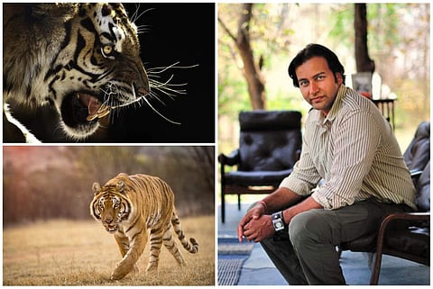 World Tiger Day special: Amit Sankhala says docus like Ross Kauffman's ...