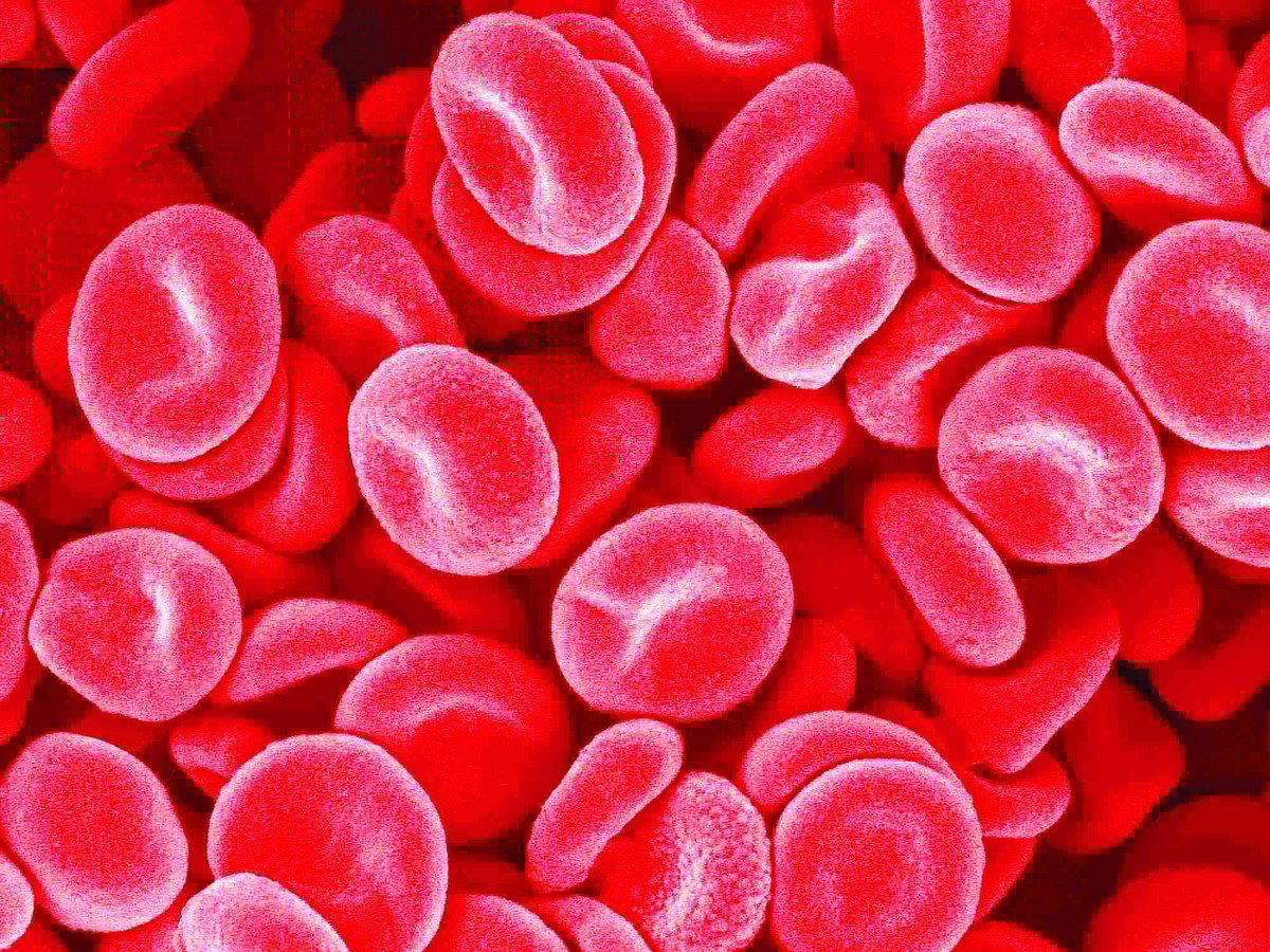 Maintaining a good platelet count is essential in helping your body ...