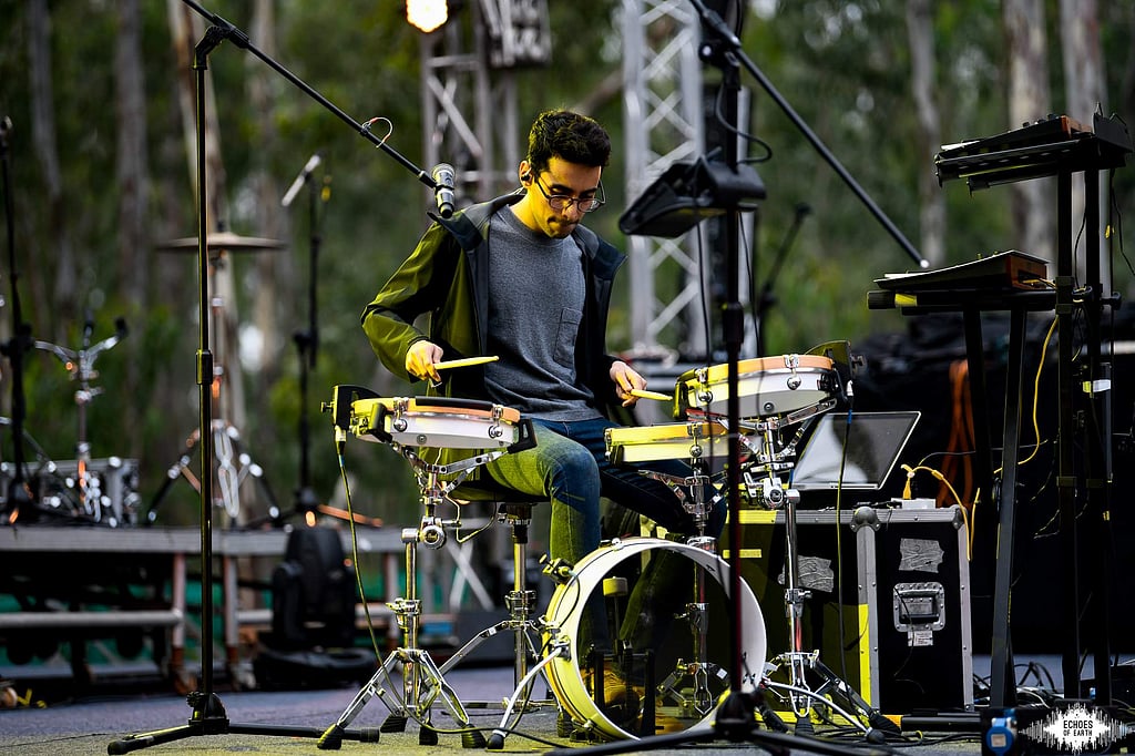 Artistes such as Ricky Kej and Tarun Balani weigh in on the pros and ...