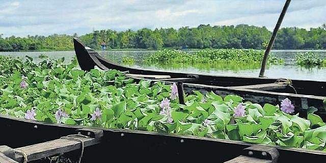 Travel report: Kayal Island Retreat embodies simplicity of lives along ...