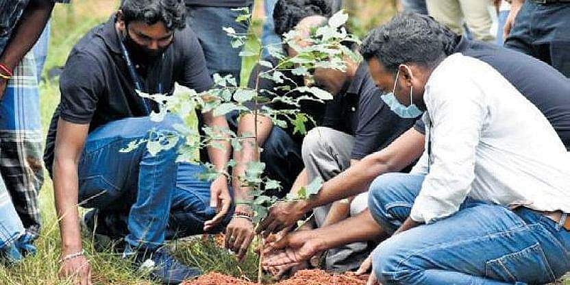 Busting the 'Plant a Tree Co' claim: Some green NGOs in Delhi you can ...