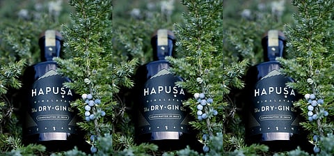 Hapusa gin launches in Bengaluru. Learn more about its flavour profile ...