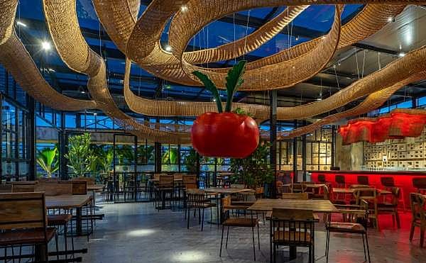 Review: Arriba Spanish fusion tapas bar