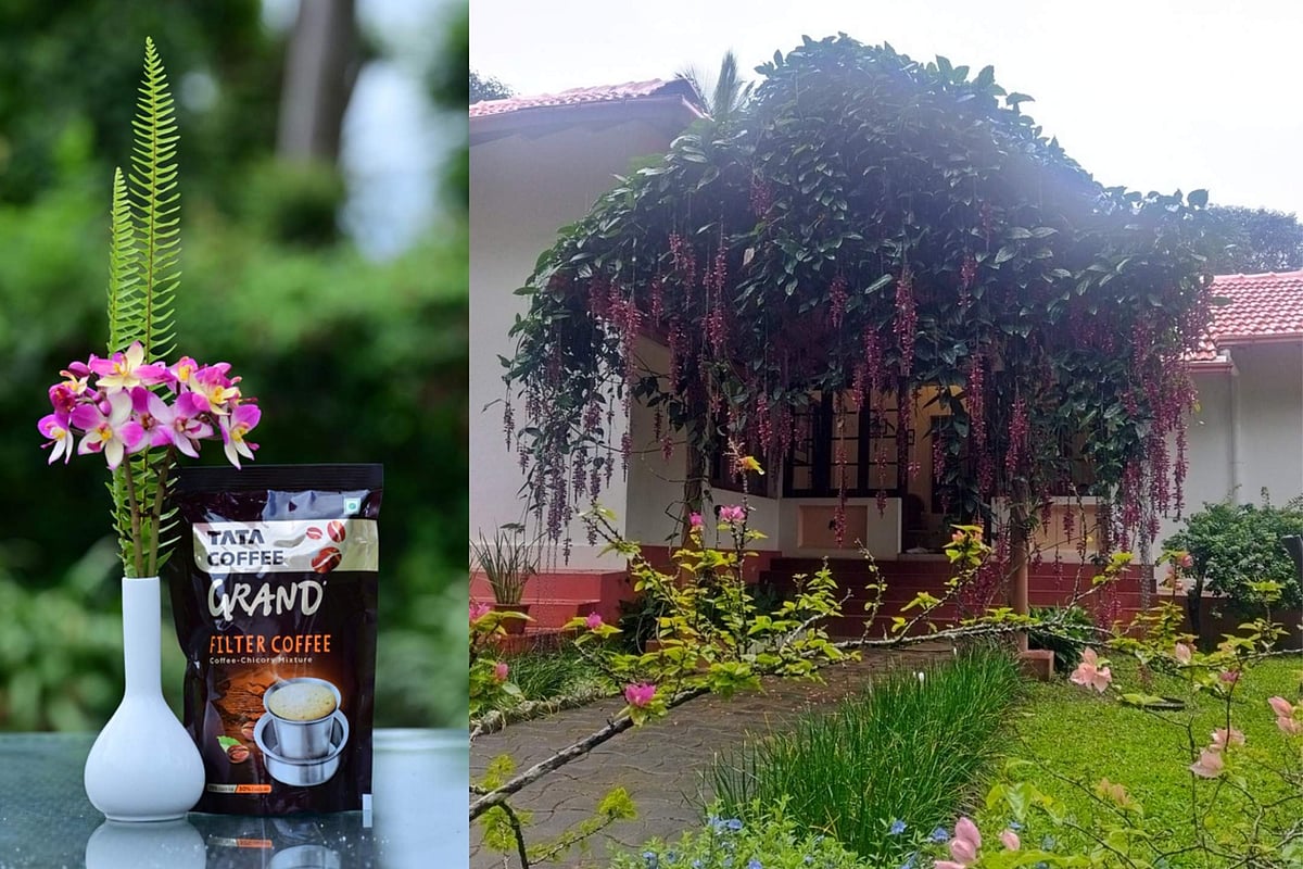 We discover an Ama Trails and Stays experience in Pollibetta, Coorg over cups of delicious brews fro