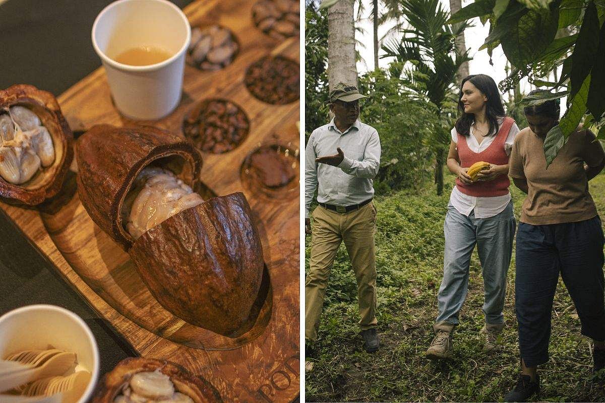 The Indian Cacao & Craft Chocolate Festival returns to Bengaluru ...