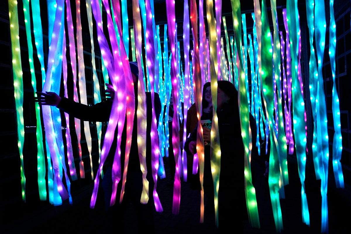 Thousands of lights at Chicago Botanic Garden illuminate tunnels ...