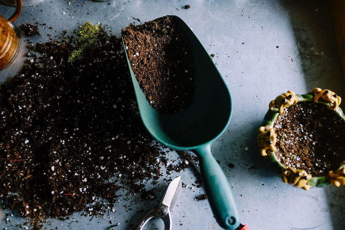 Here is a guide on how to find an urban gardening method that's right ...