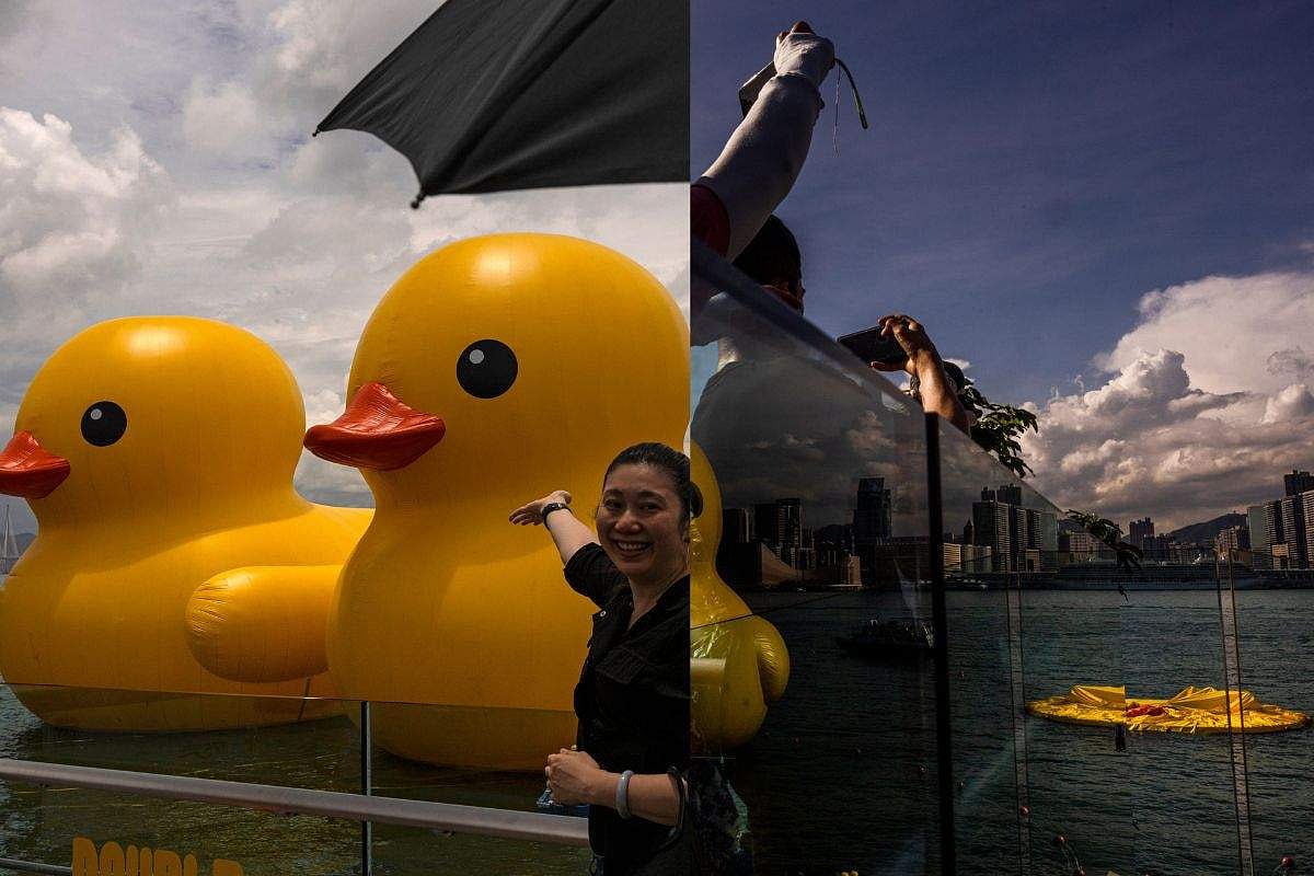 Giant inflatable ducks make a splash in Hong Kong as pop-art project ...