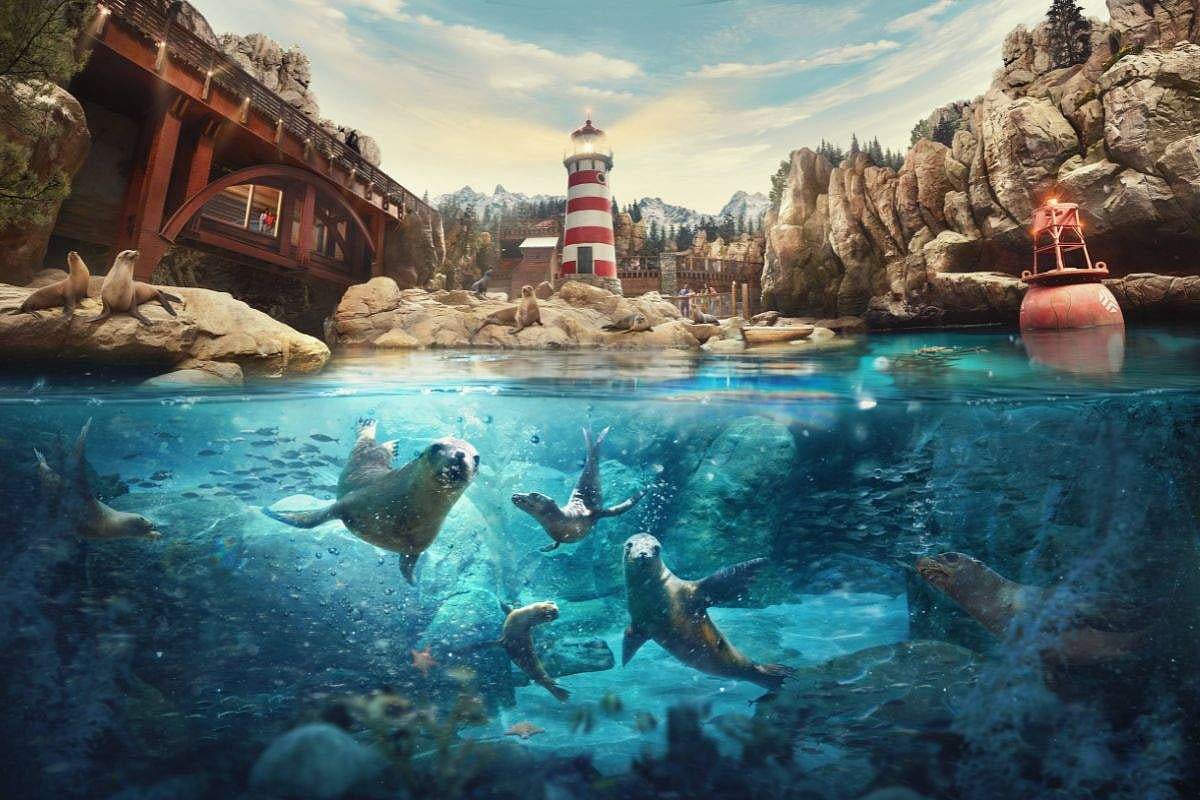 Add SeaWorld at Abu Dhabi to your itinerary and take on an oceanic ...