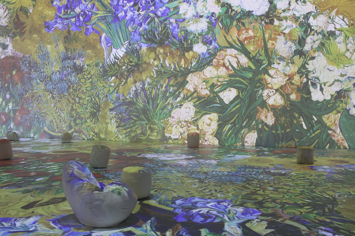 Get a 360-degree view into the life works of celebrated painter Vincent ...