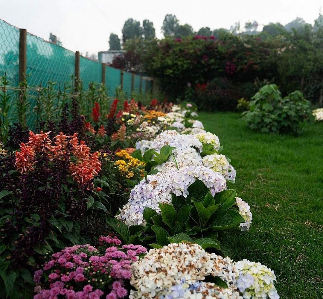 Indo-American Hybrid Seeds plant expo begins in city