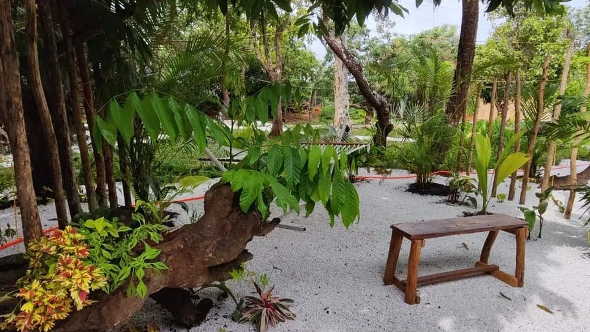 Circle Goa to host Nariyal Paani evenings with Susmit Sen, Tipriti and ...