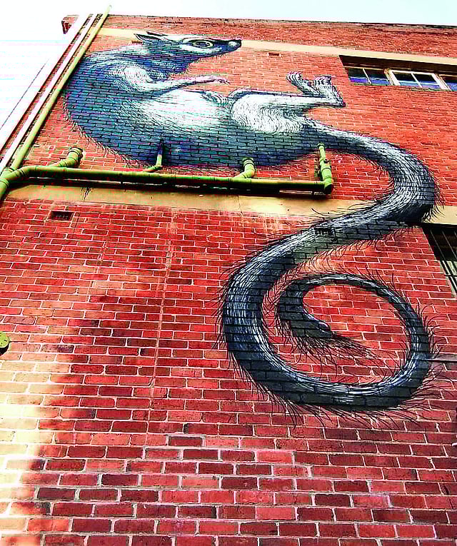 Travel diary: How Perth, the world's most isolated city, is becoming ...