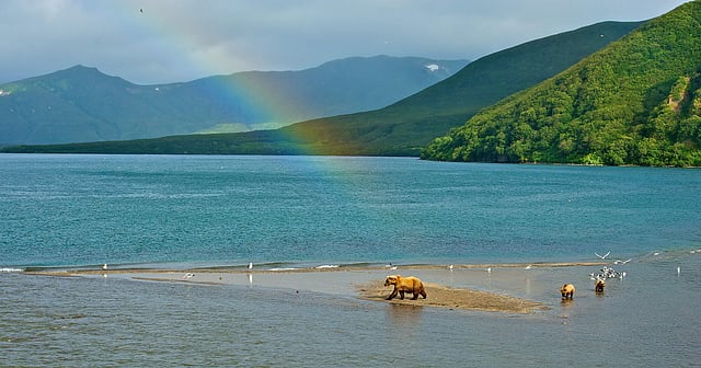 Stories from the field: 10 wildlife photographers share their most ...