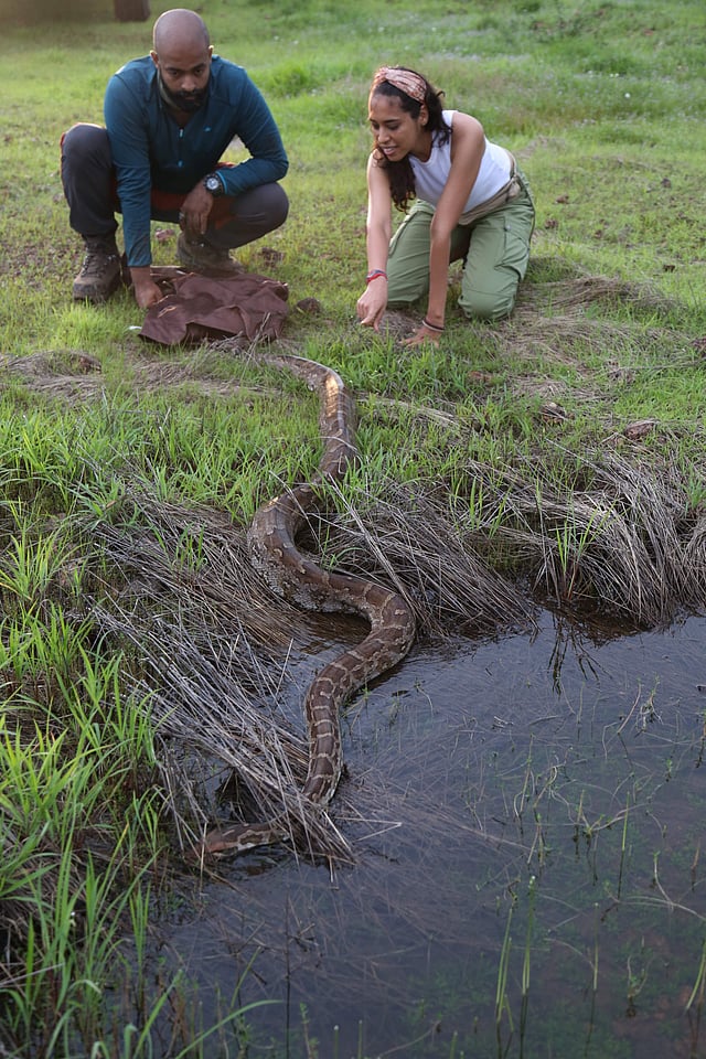 National Geographic’s brand new show, Snakes SOS: Goa’s Wildest, is ...