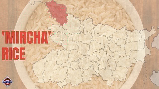 The aromatic ‘Mircha’ rice of Bihar’s West Champaran gets GI tag