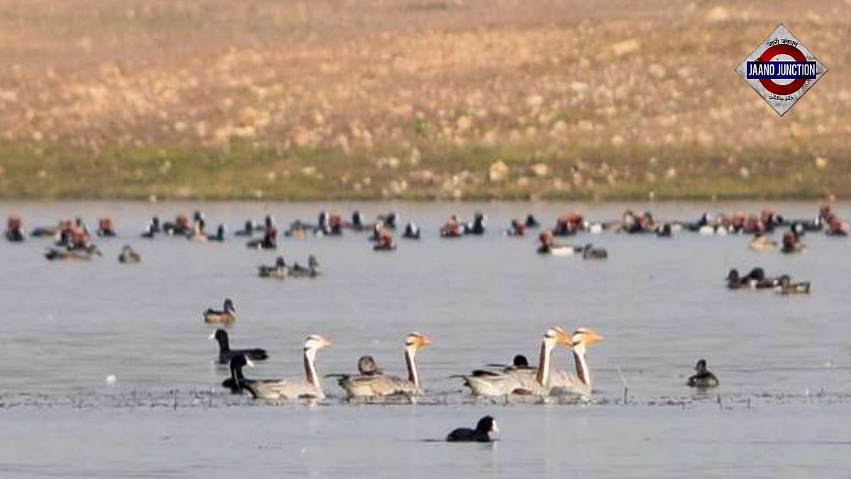 Two bird sanctuaries of Bihar added to Ramsar list