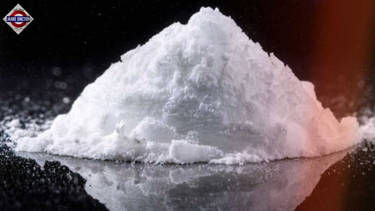 Cocaine worth Rs 2,000 crore seized, second massive drug bust in Delhi ...