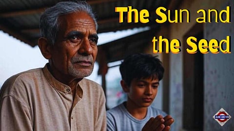 The Sun and the Seed