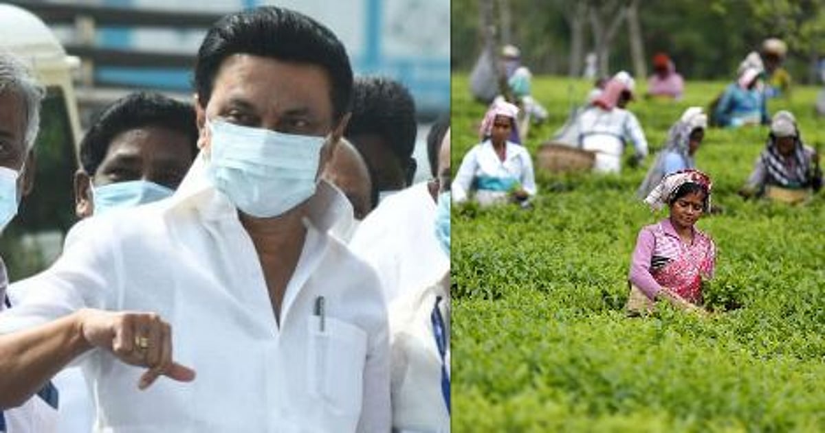 Chief Minister MK Stalin has quietly illuminated the lives of millions ...