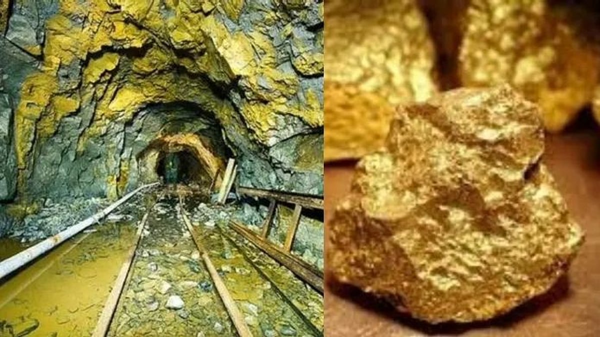ants give hints of 230 million tons gold the country largest gold ...