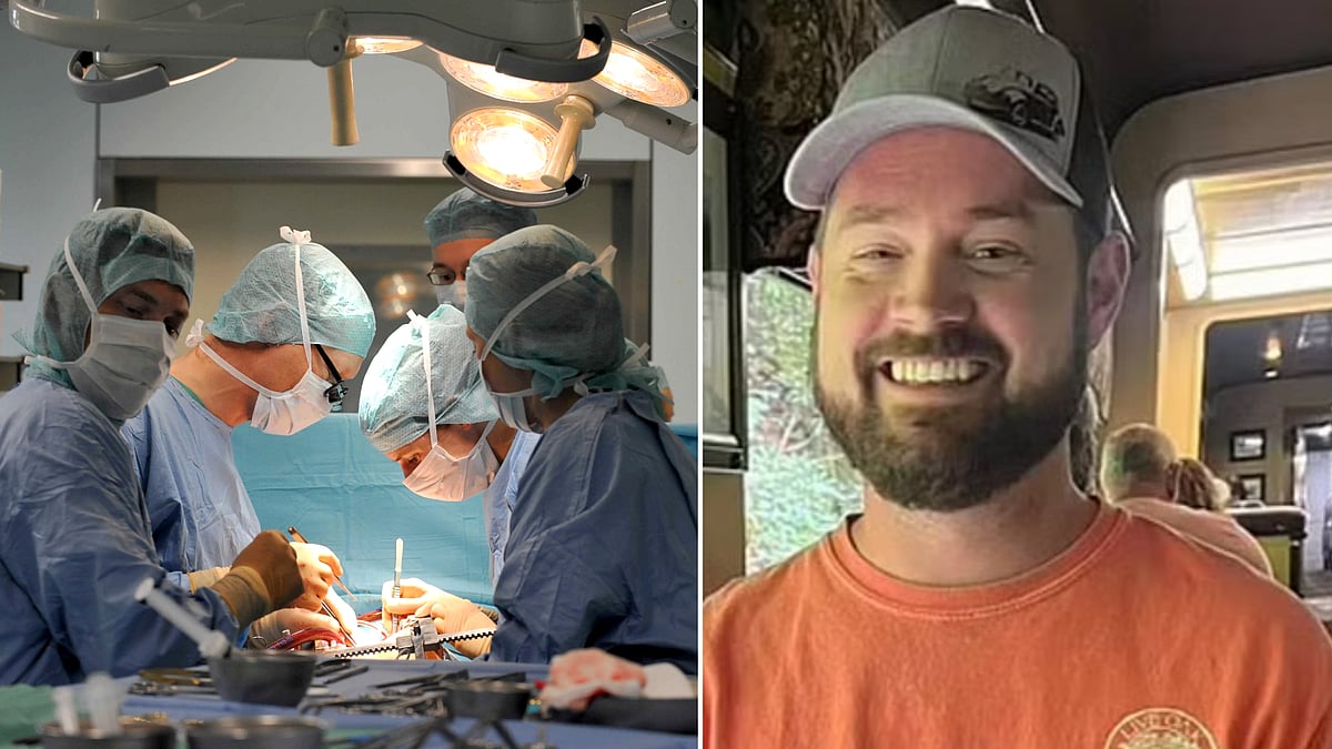 a brain dead man alive while harvest his organs for organ donation in ...