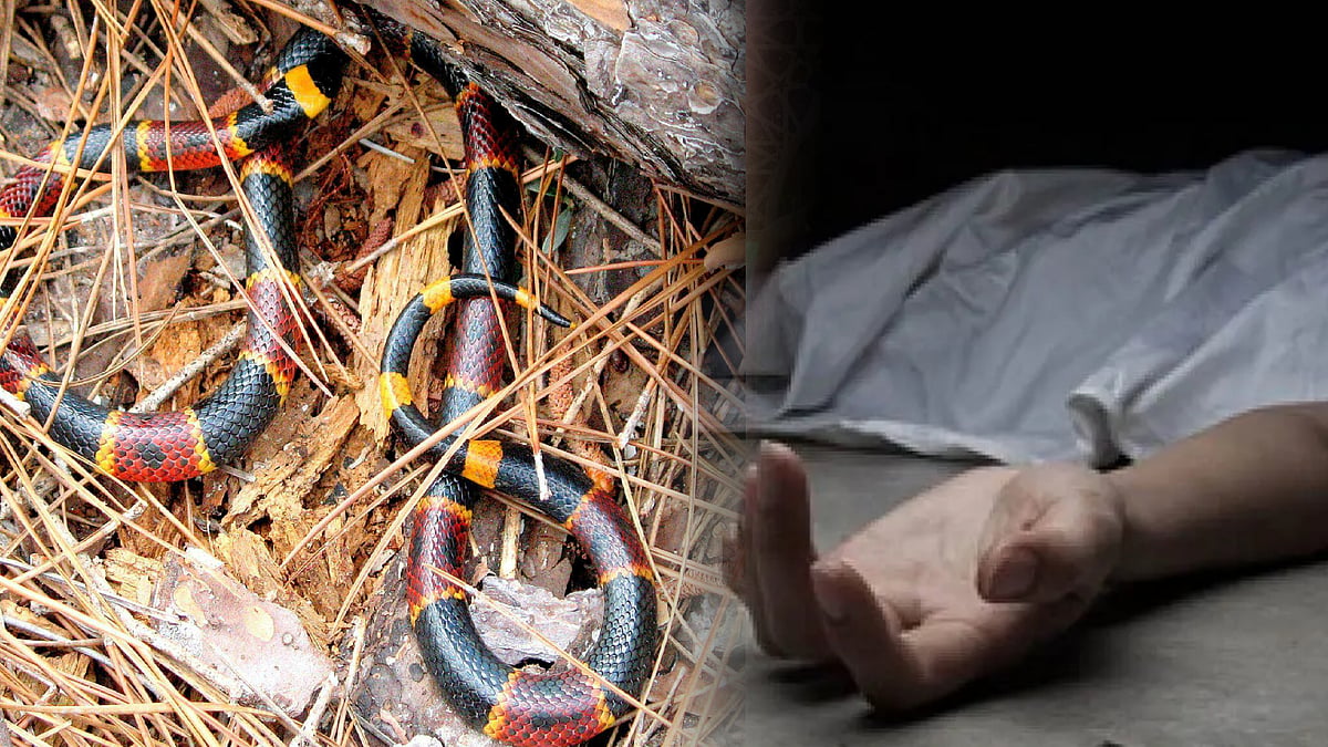 During the post-mortem examination, a poisonous snake was found alive ...
