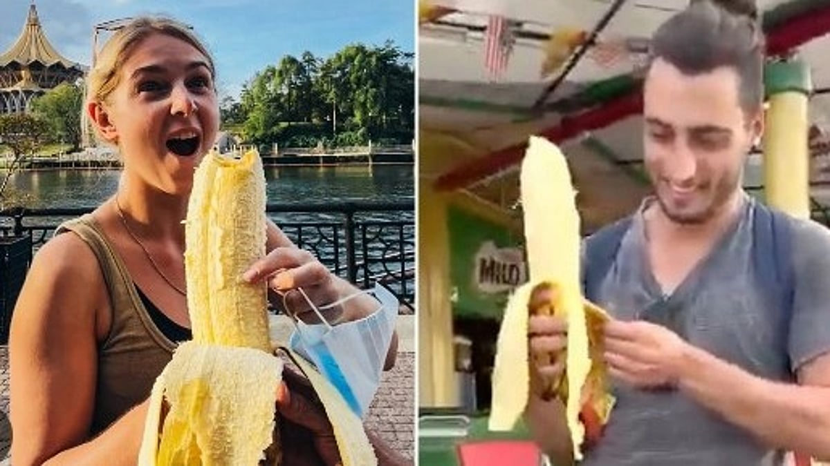 World Largest Banana Know About Musa Ingens