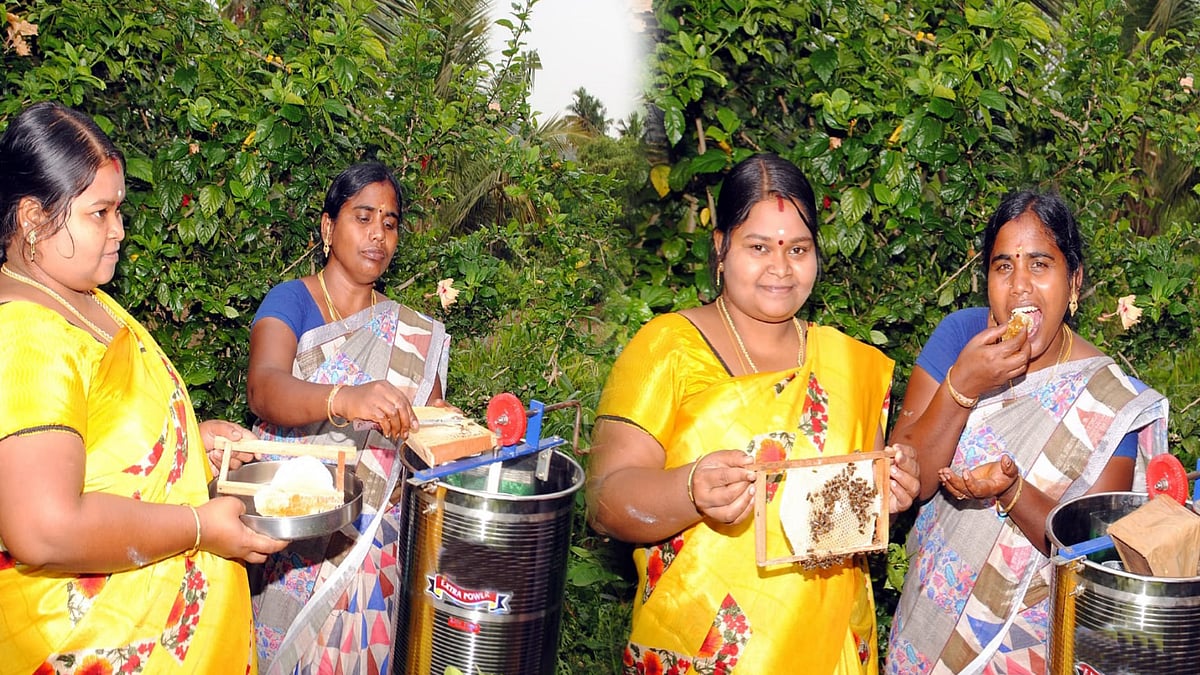 Beekeeping package: Rs. 2.22 crore Revolving Fund for magalir suya ...