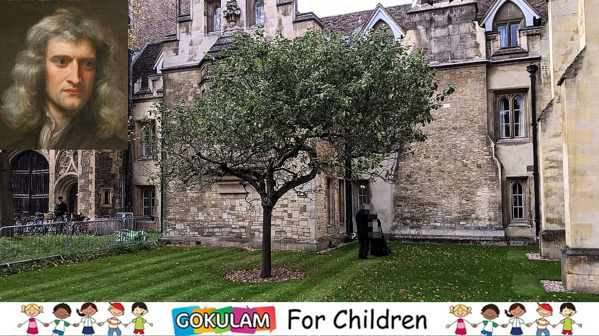 A Story of Curiosity: The Tale of Newton's Apple Tree!