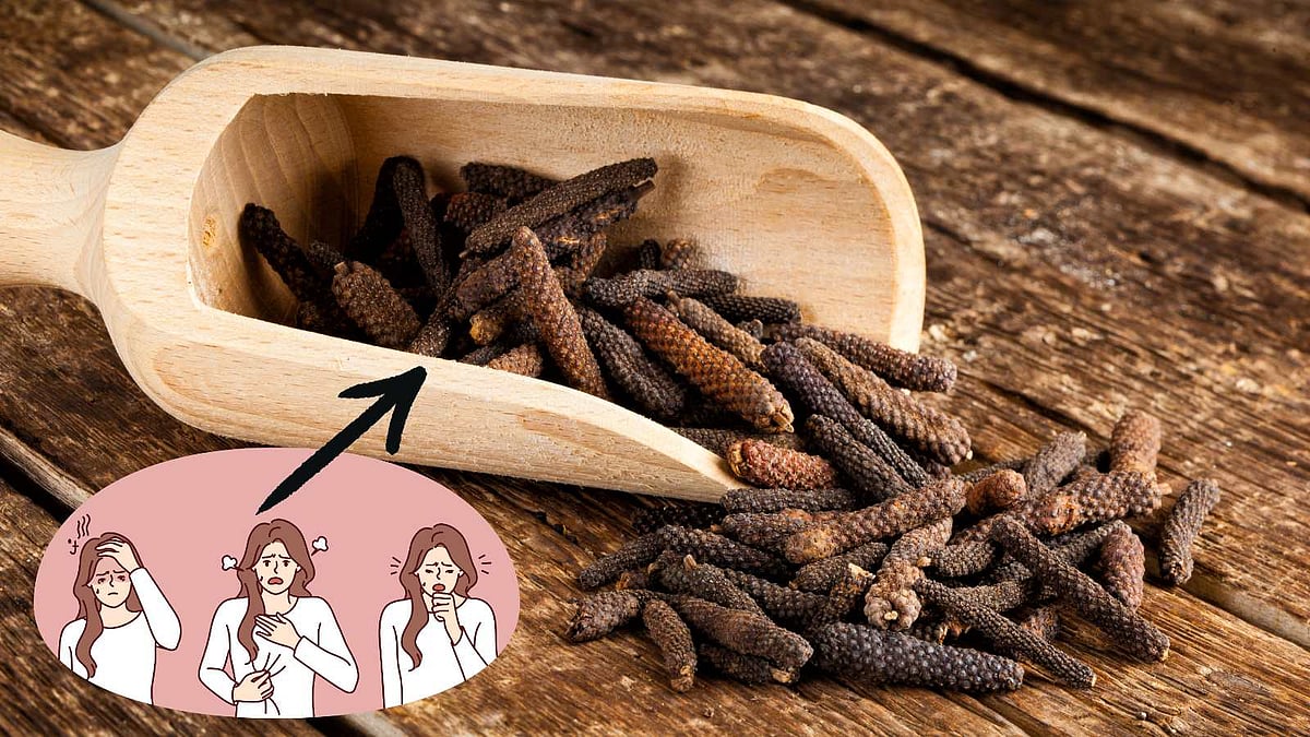 திப்பிலி: பல நோய்களுக்கு எளிய தீர்வு