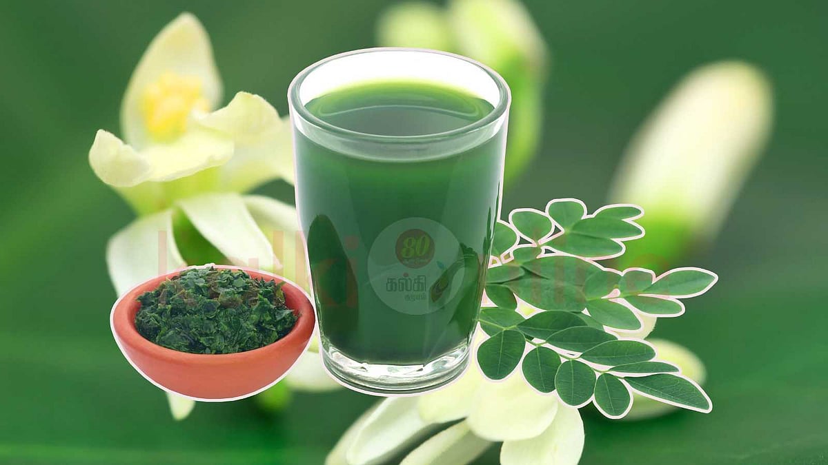 Nutritious murungai flower recipes சுவையும் சத்தும் நிறைந்த ...