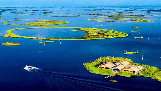 Keibul Lamjao National Park: நம் நாட்டில் அமைந்துள்ள ஒரே ஒரு மிதக்கும் ...
