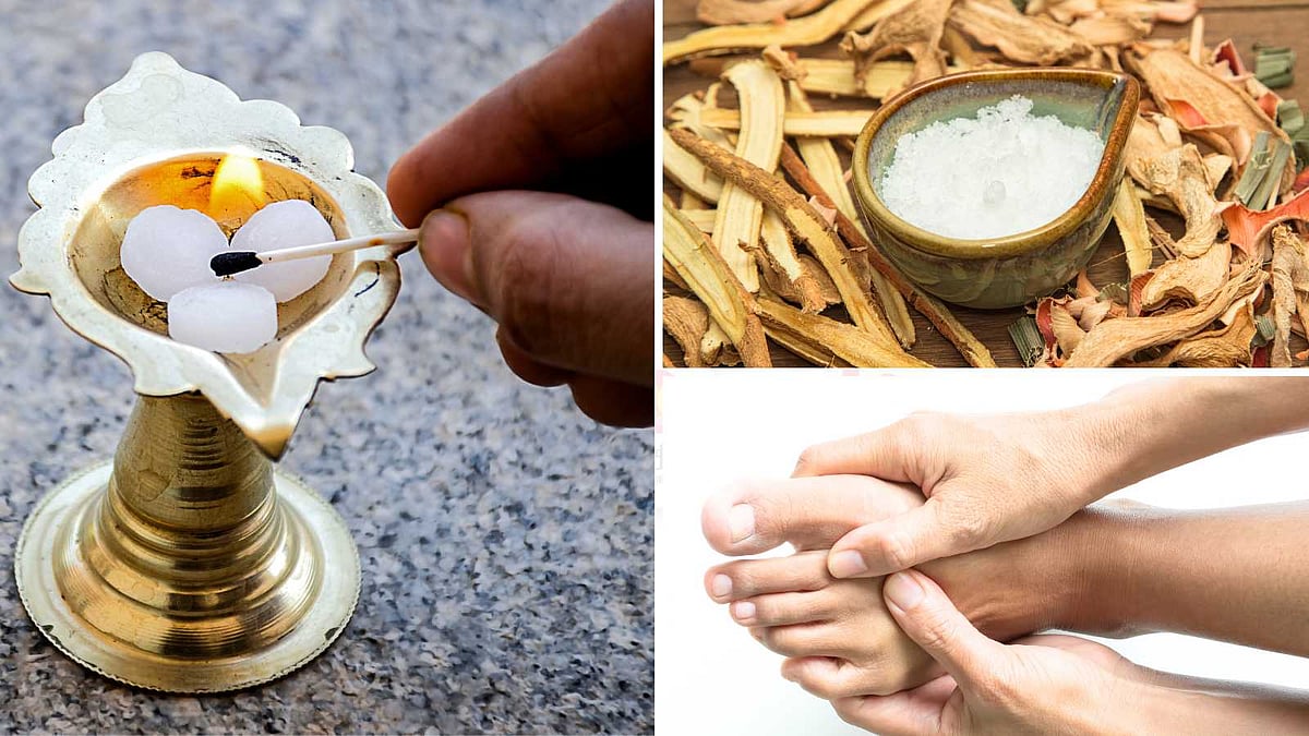 camphor uses and benefits