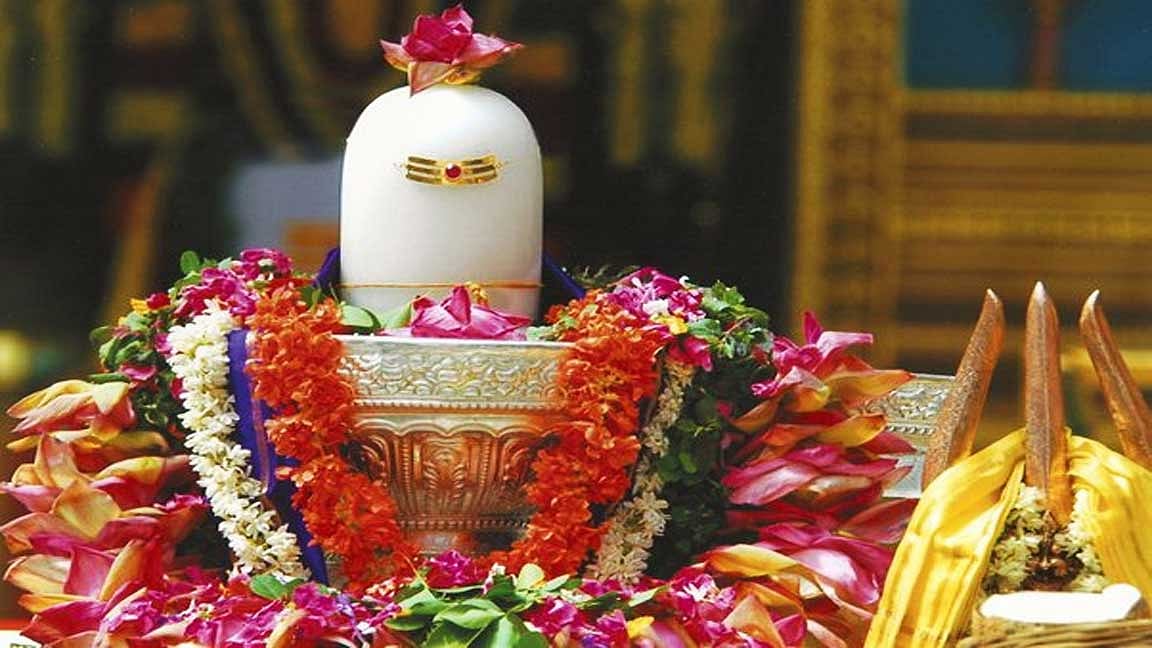 சிவ பூஜைக்கு உகந்த மலர்கள்!