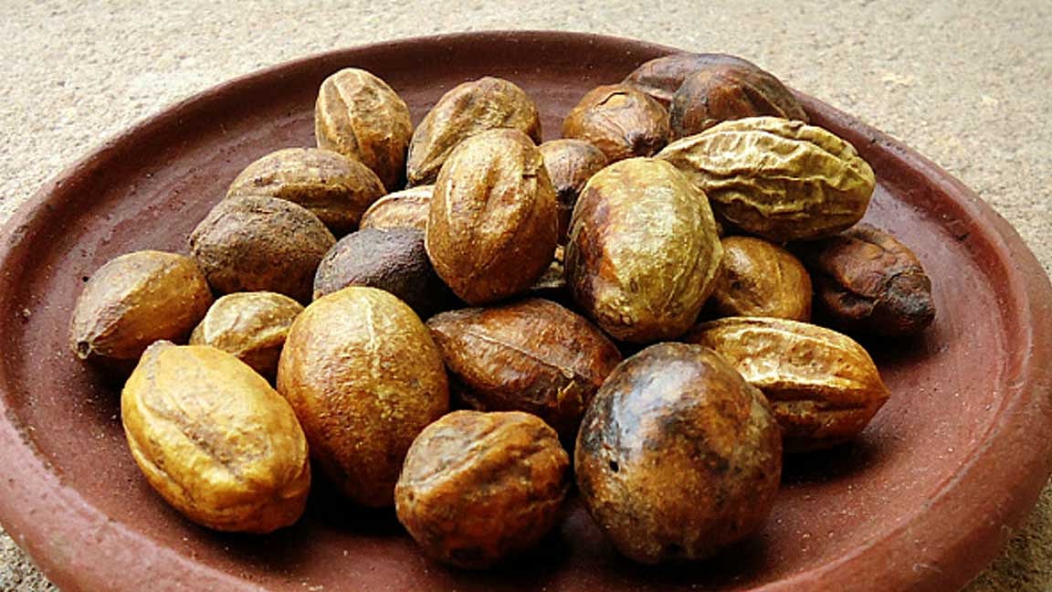 கட்டுடல் தரும் கடுக்காய்