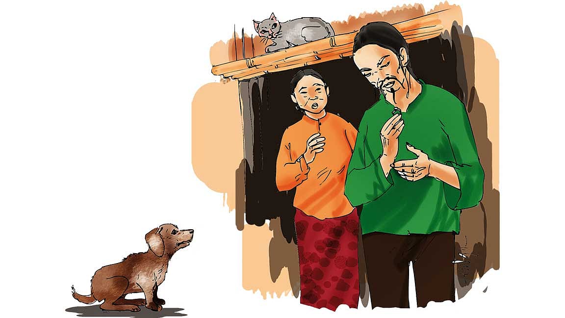Dog and cat! short story