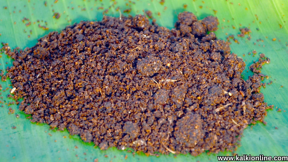 Nutritious Sesame Powder Recipe