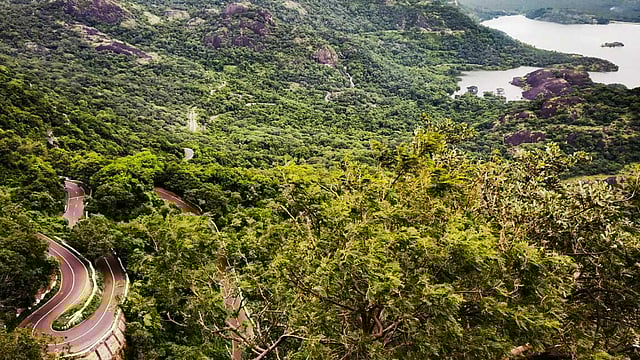 7 places to enjoy in Valparai!