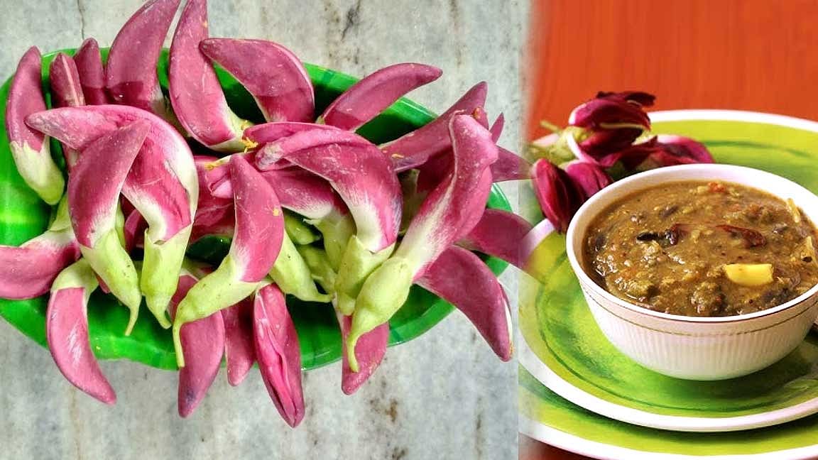 Agathi poo strengthen bones!