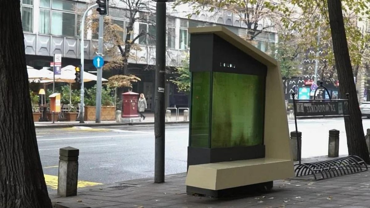 Liquid Tree that purifies the air.