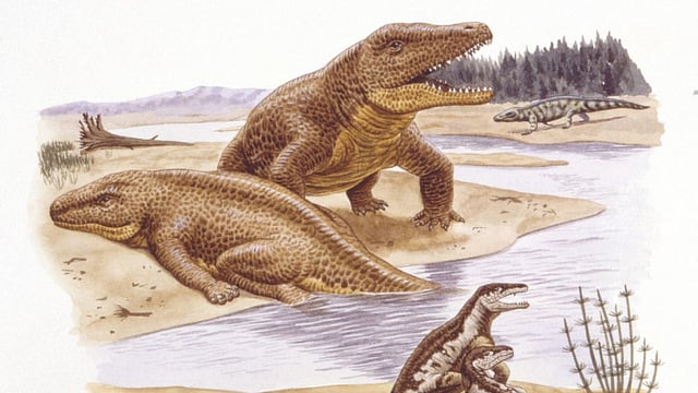 When is the world's next Mass Extinction?