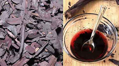 Vembalam bark is a remedy for skin problems