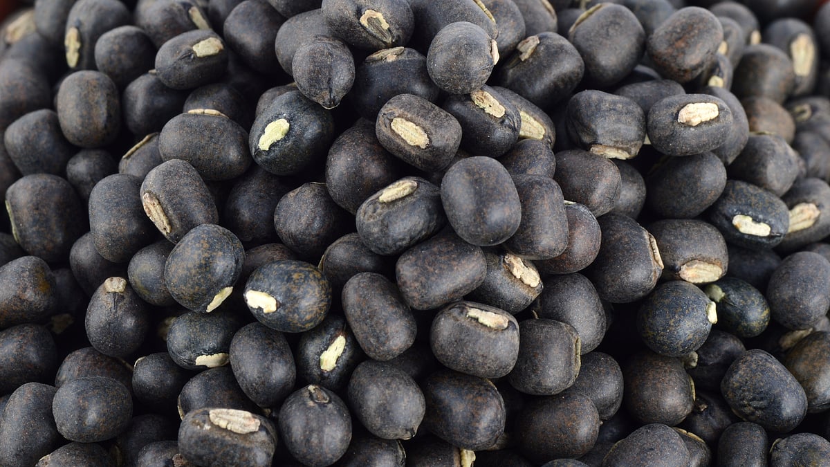 Health benefits of black gram