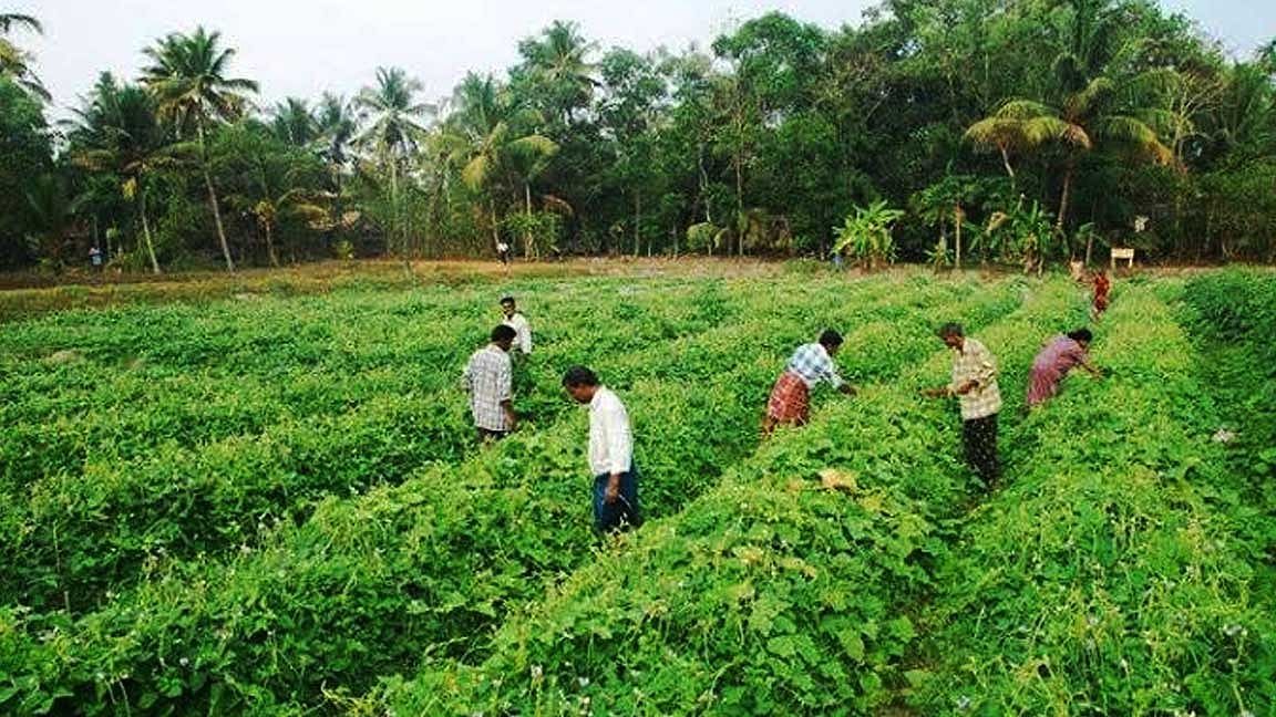 Agro Business Management!