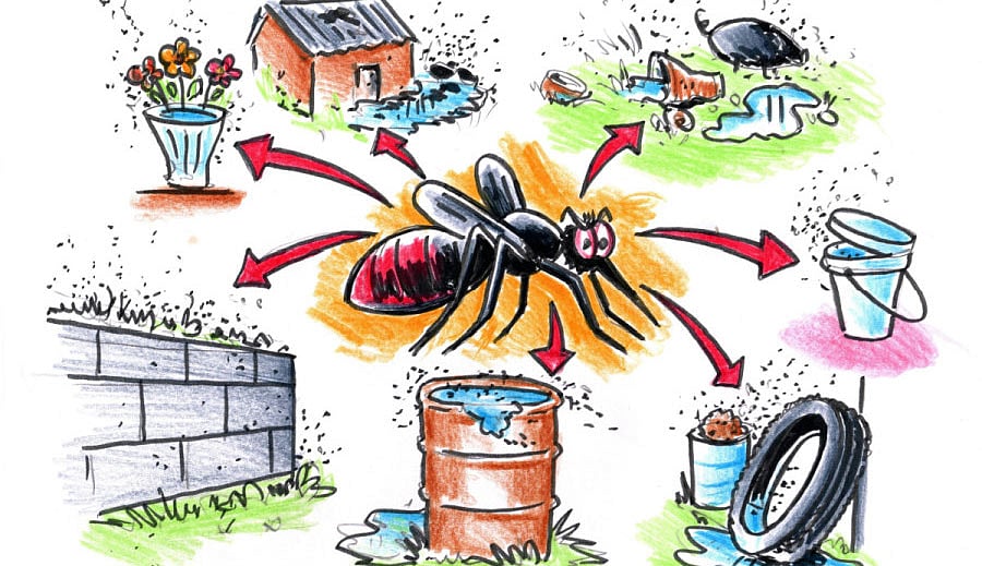 10 Ways to Survive Dengue Fever