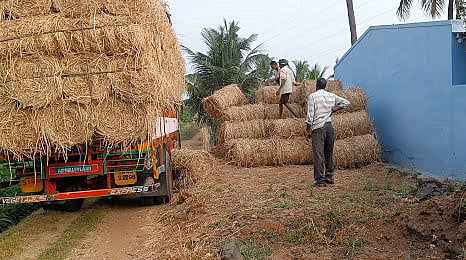 Profitable hay business: How to profit from hay?